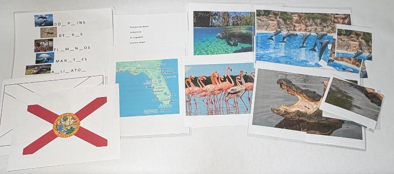 Florida Theme Activity Pack